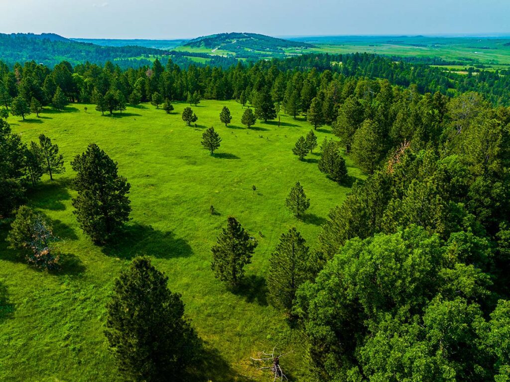 Photos | Three Peaks Ranch