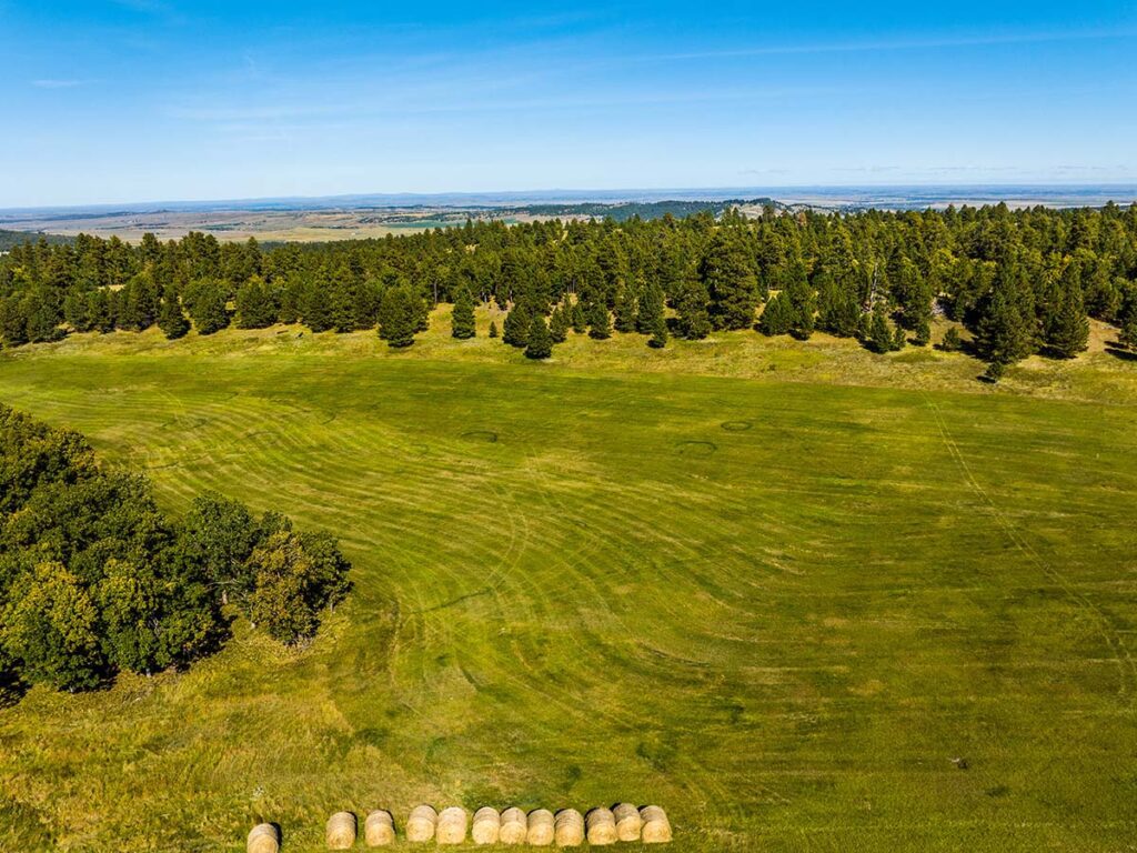 Home | Three Peaks Ranch